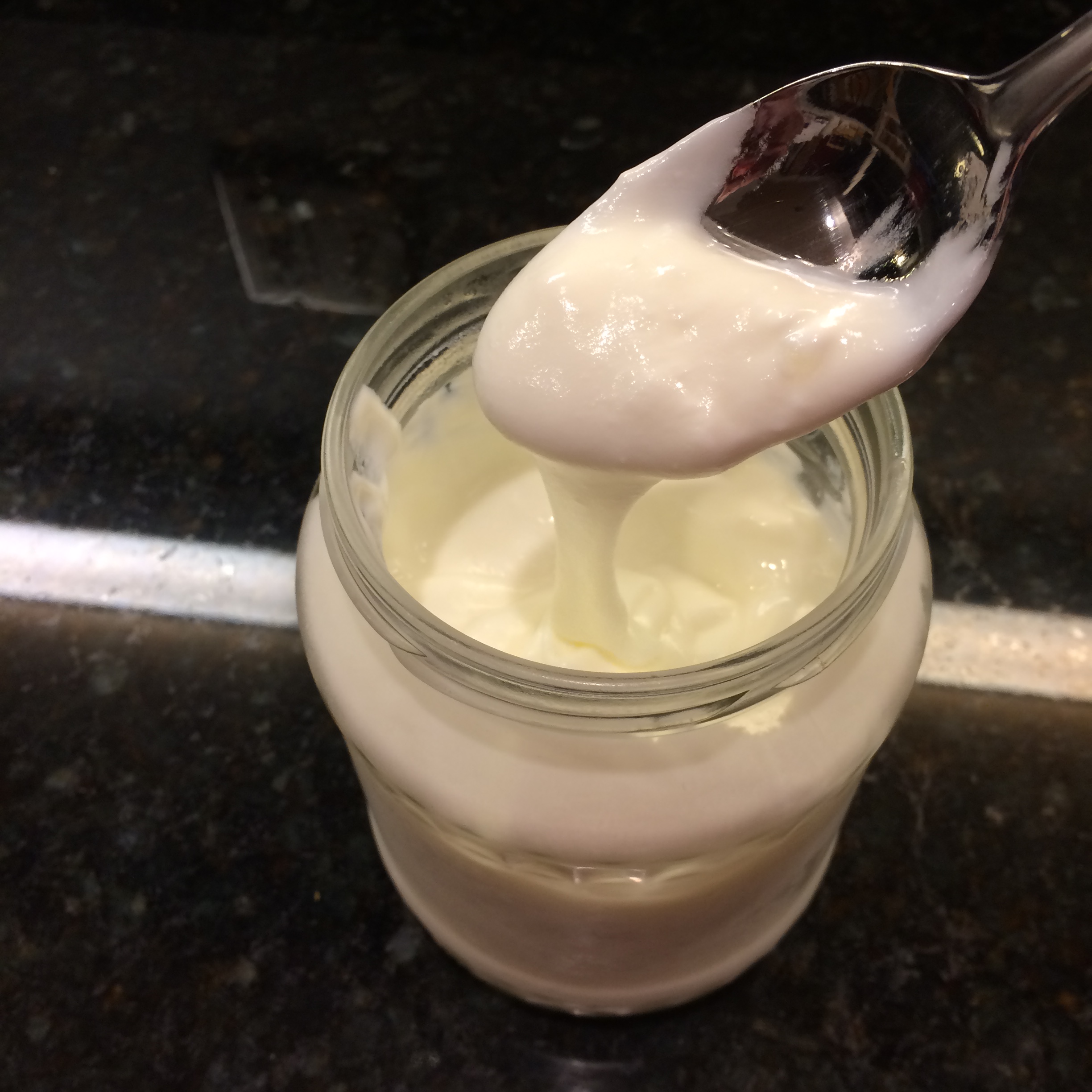 Fresh Yogurt – Dining With DINKS
